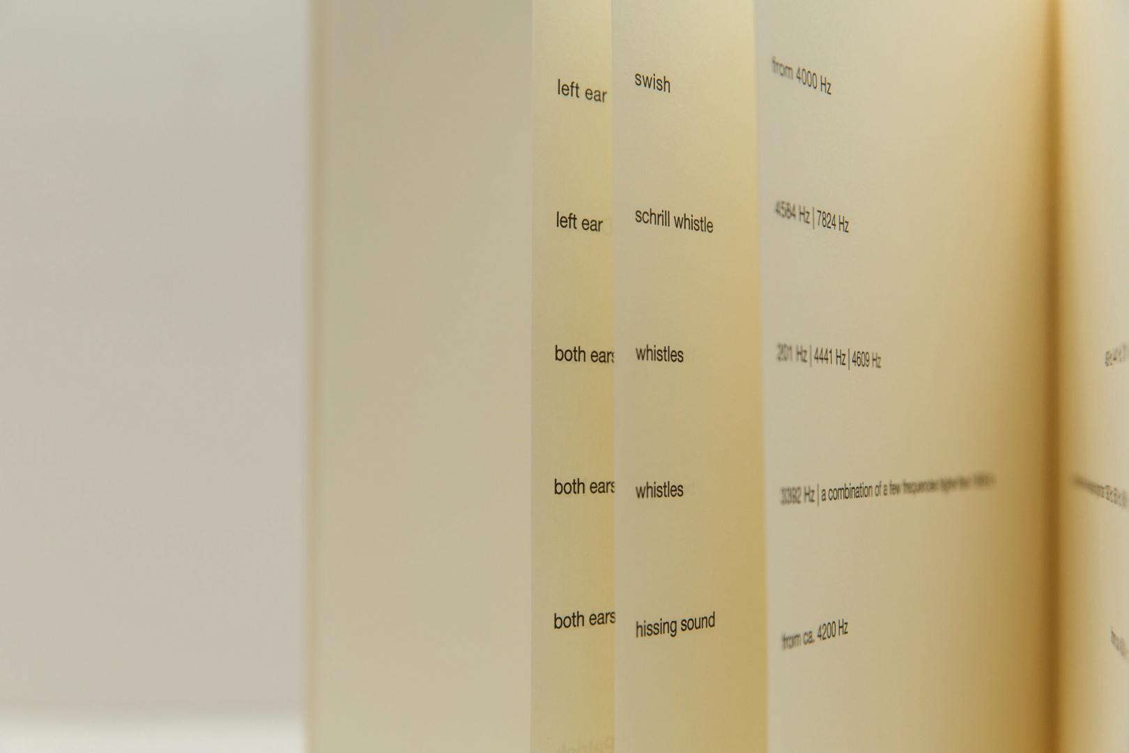 Tinnitus Studies 2015- | Hui Ye | 葉慧